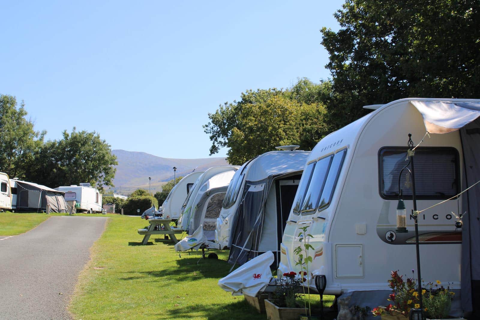 Lyons Holiday Parks Portal